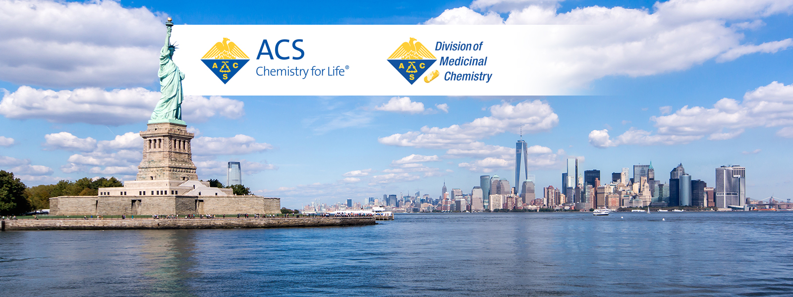 ACS MEDI NMCS NYC